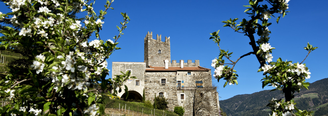 13 Orte, die ihr im Frühling in Südtirol gesehen haben müsst